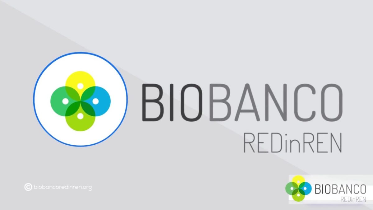 Instituto Reina Sofía en Investigación en Nefrología – FUNDACIÓN RENAL ...