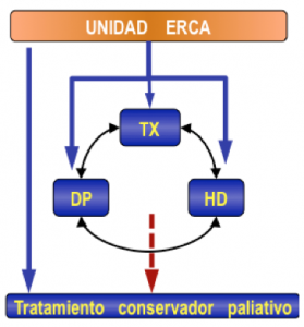 Consulta de Enfermedad Renal Crónica Avanzada (ERCA) – FUNDACIÓN RENAL ...